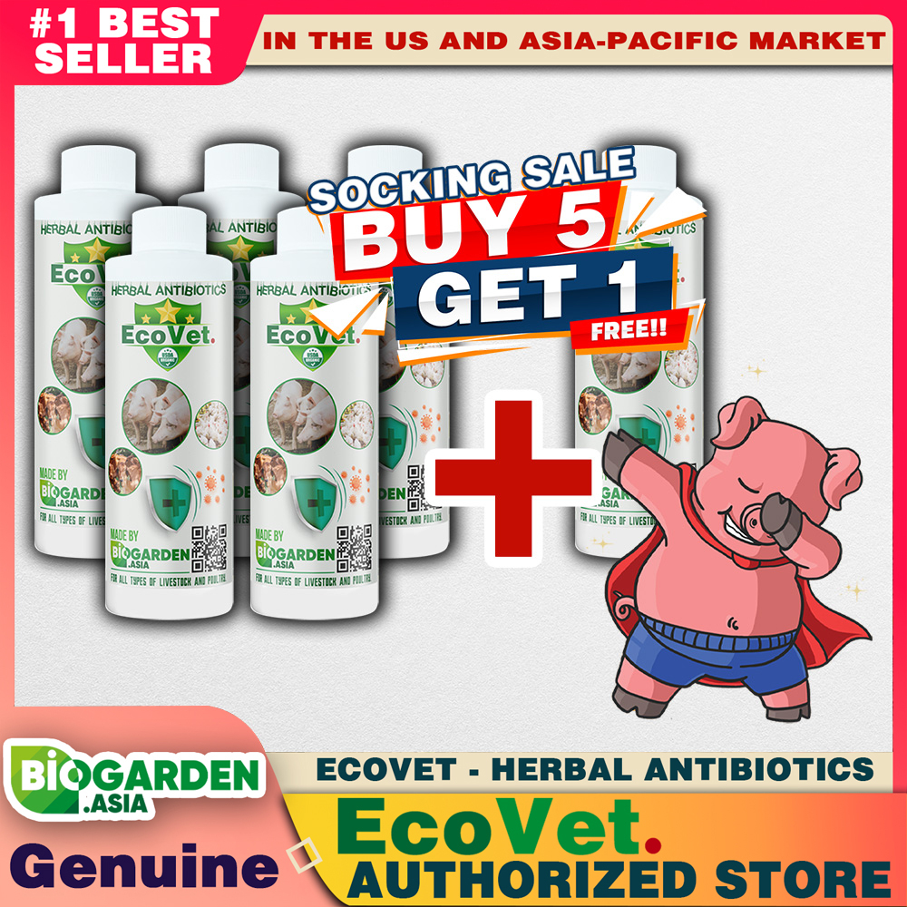 HOT COMBO BUY 5 GET 1 FREE Ecovet - Probiotic Supplement Powder ...