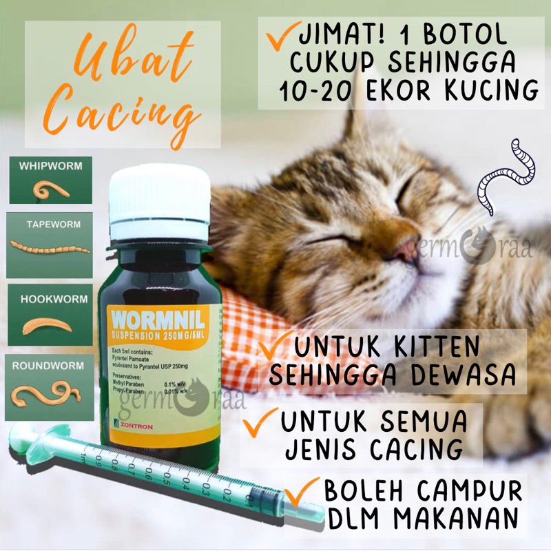 Ubat Cacing Kucing Kitten Adult Formula Khas Kucing Parasit Cacing Cat ...