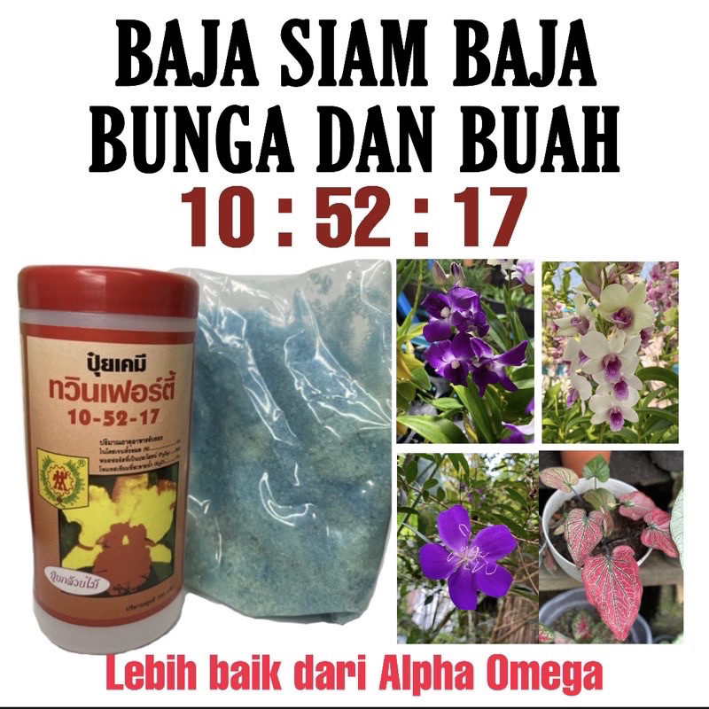 Baja siam baja penggalak bunga baja buah lagi baik dari baja alpha ...