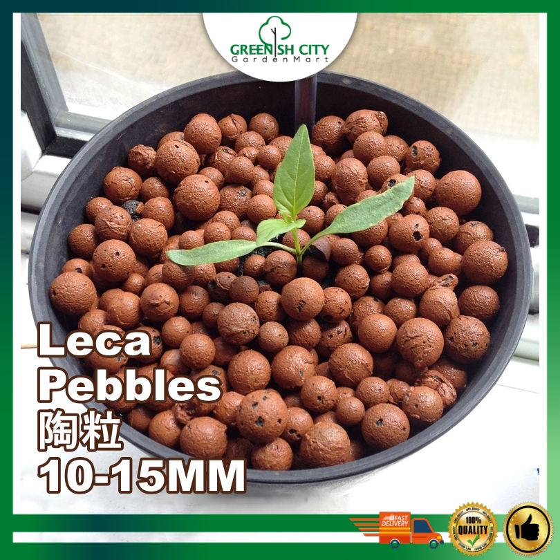 GNC 500G/1KG HydroStone 10-15MM Hydrokorrels Leca Ball For Plant Clay ...