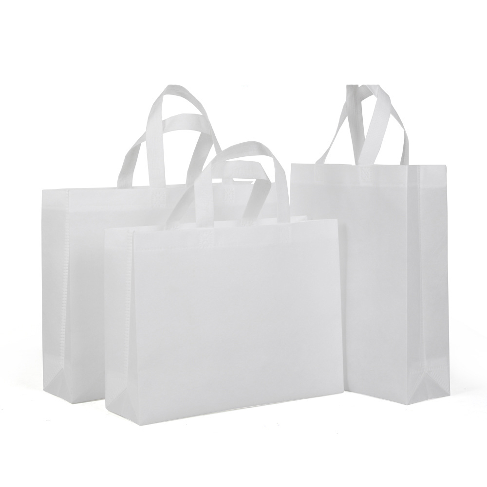PANDAPAK Non Woven Bag Eco Bag Tote Beg Goodies Bag Gift Bag Doorgift ...