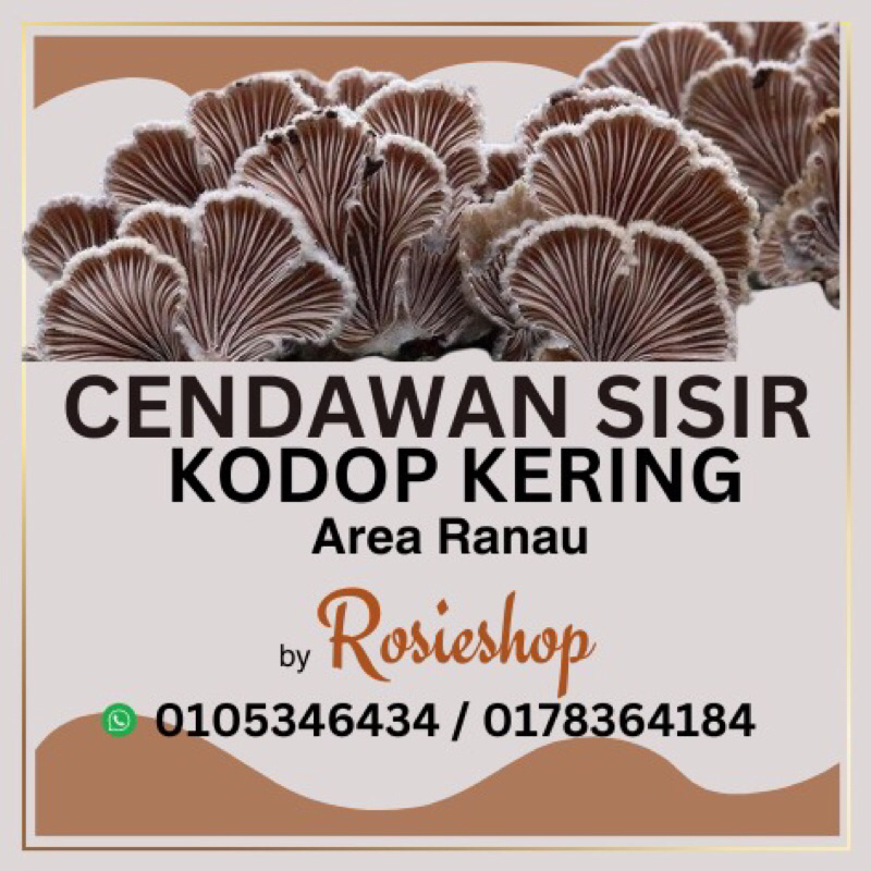 30gram CENDAWAN SISIR /KULAT KODOP MURAH ( MAKANAN SABAHAN) | Shopee ...