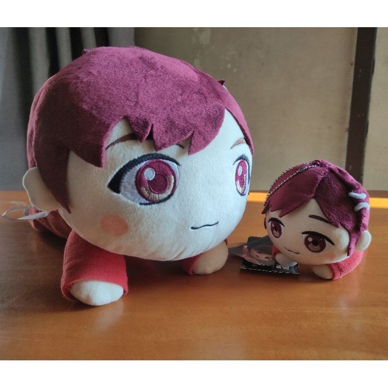 Genuine Official BTS TinyTAN Laying Down Plush - Jung Ho-seok / J-Hope ...