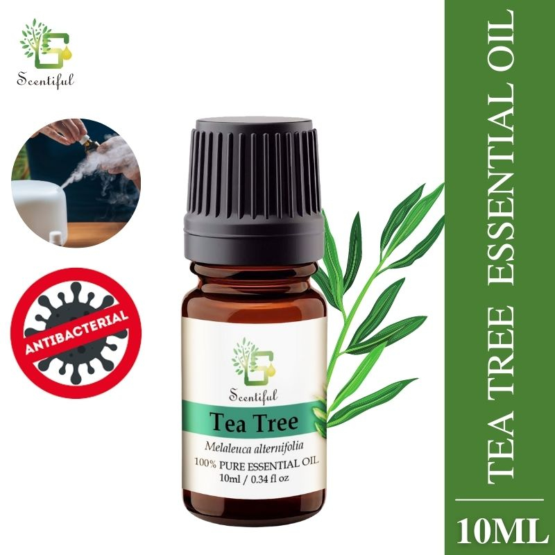 Organic Natural Tea Tree Essential Oil ( Imported From Germany ...