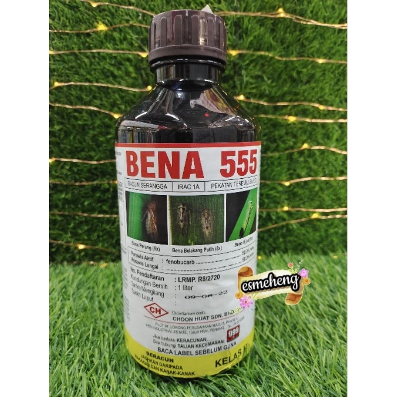 1L Bena 555 / Bena Hijau / Bena Perang / Pianggang / Belalang / Lelompat Daun / Kutu Beruang ...