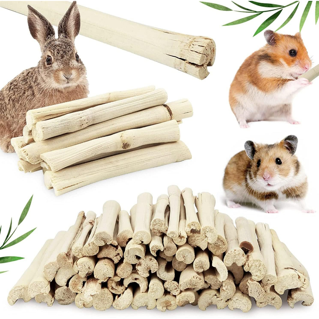 Sweet Bamboo Sticks 50g - Molar Chew for Guinea Pig Hamster Rabbit ...