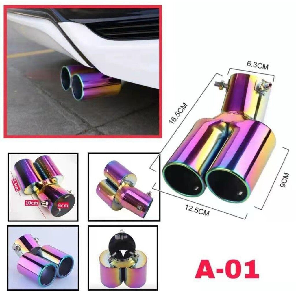 Stainless Steel Dual titanium Exhaust Pipe Car Rear Tail Muffler Tip ...