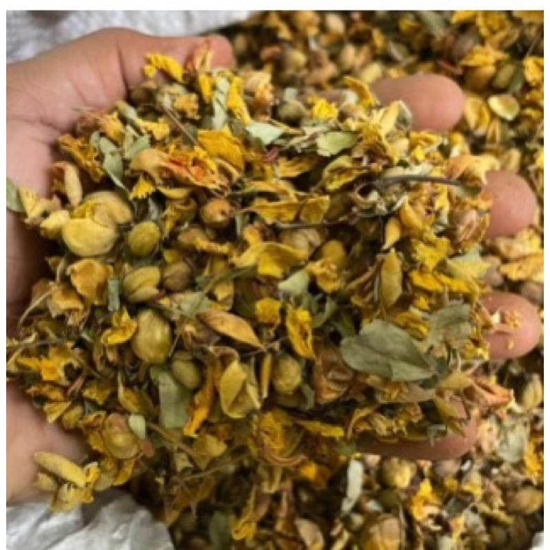 Avarampoo - Imported Quality from India (Plus grade) | Shopee Malaysia