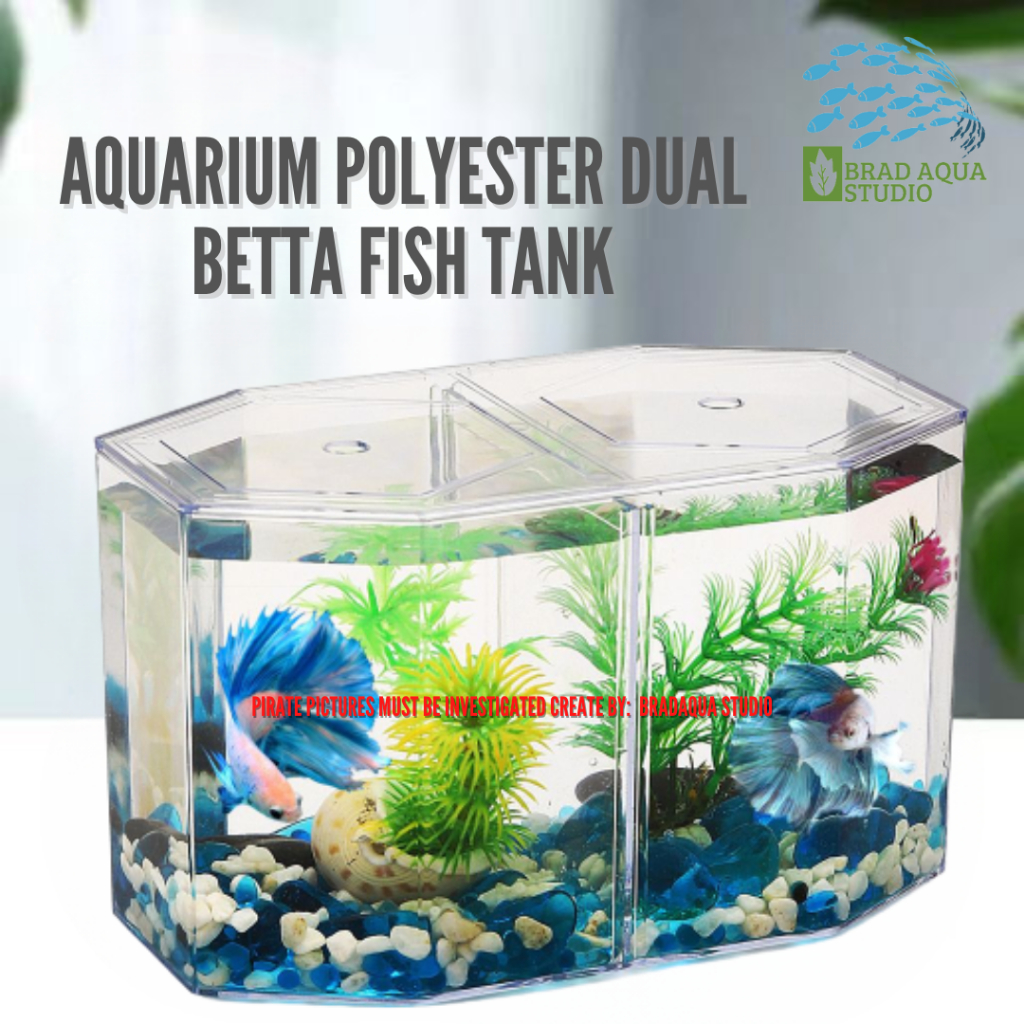 AQUARIUM Polyester Dual Betta Fish Tank Transparent Small Aquarium with ...