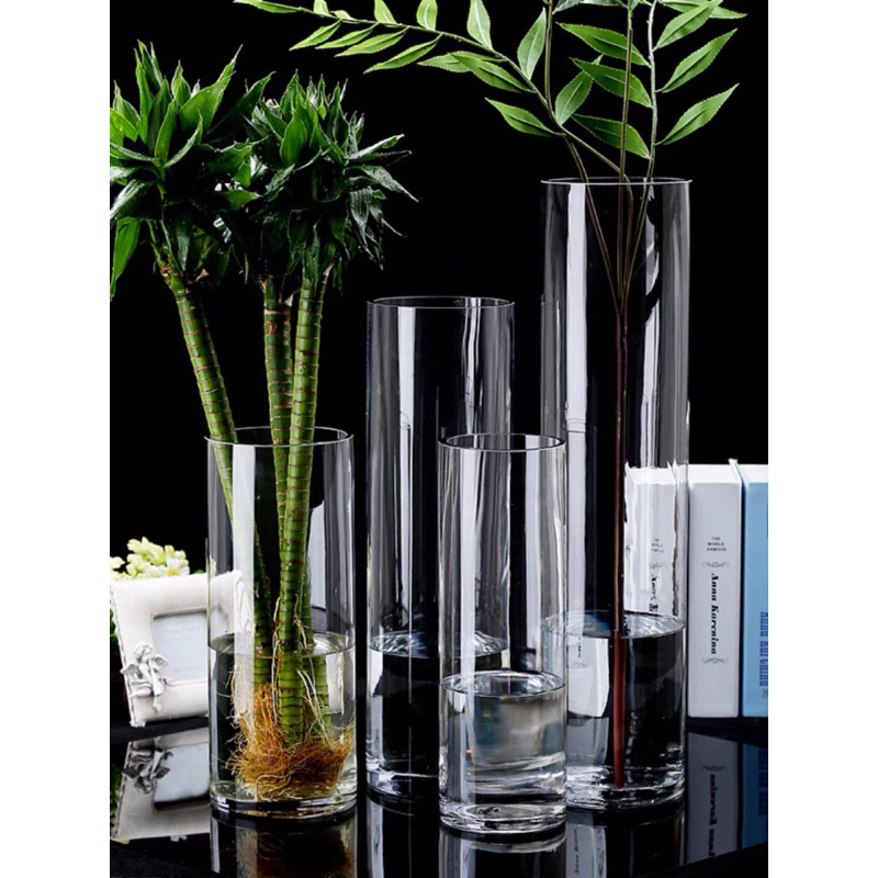 The Craft Decor Transparent Cylinder Glass Vase | Flower Vase | Flower ...