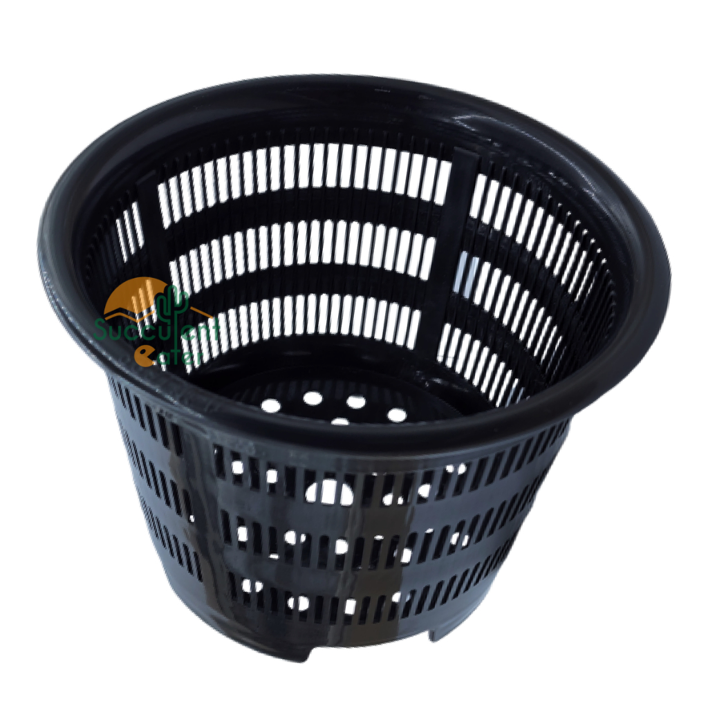 Thick Orchid Plastic Flower Pot Pasu Bunga Okid Gafri 蝴蝶兰花盆 | Shopee ...