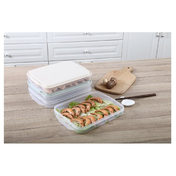 LocknLock Official Freezer Lock Food Container 1000ml Rectangular ...