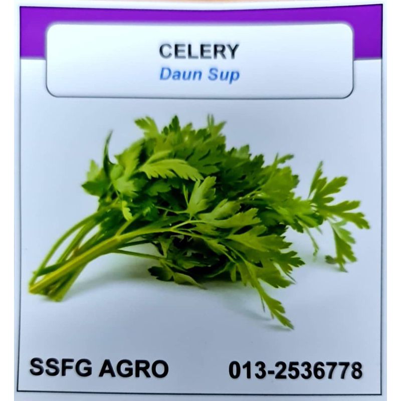 BENIH DAUN SUP @ CELERY (>