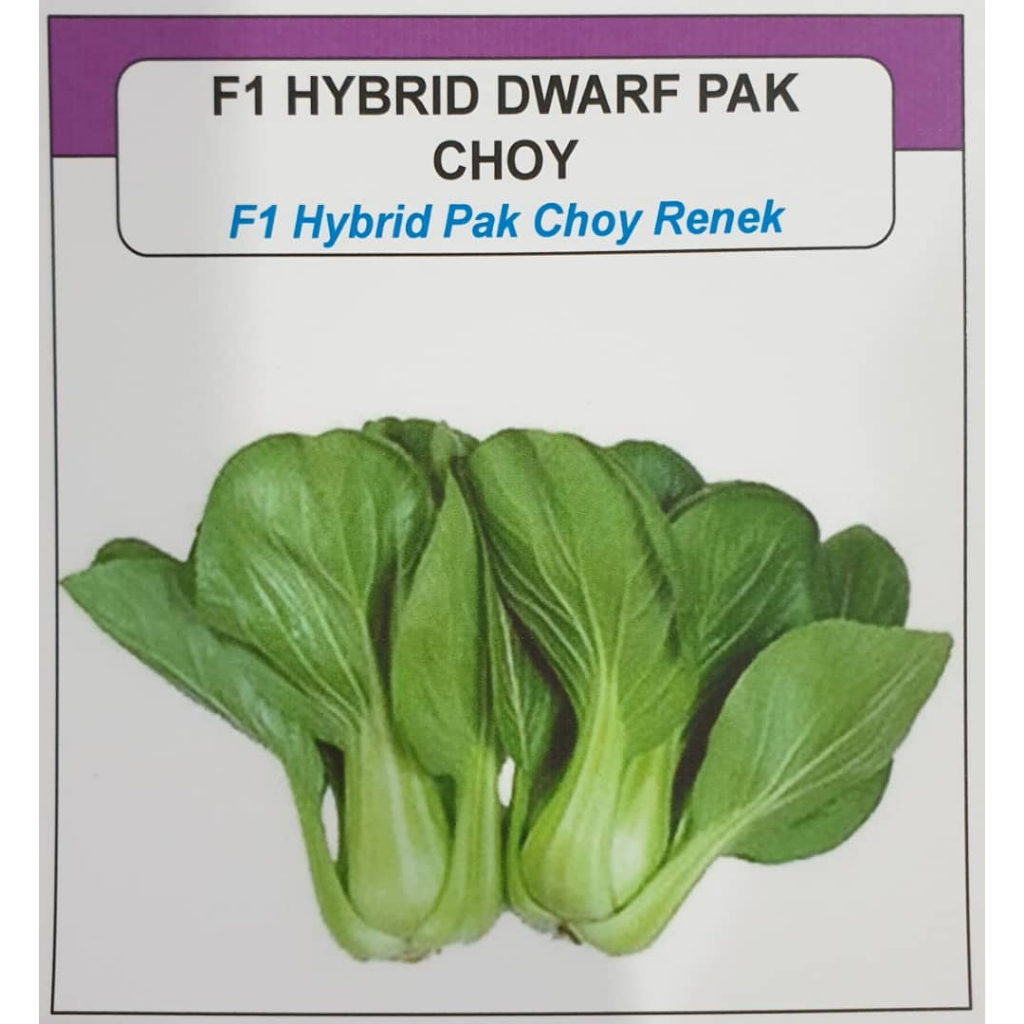 Benih Pak Choy Renek @ Dwarf Pak Choy (5 Grams) | Shopee Malaysia
