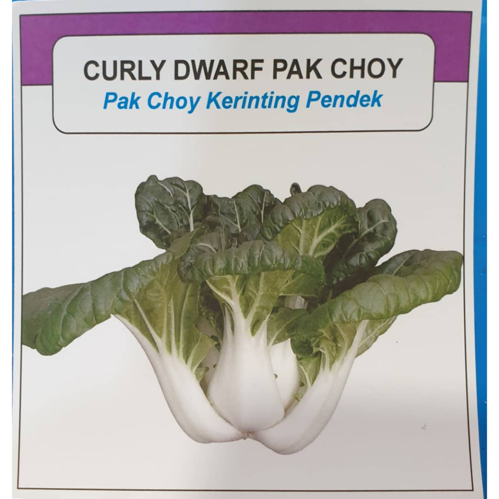 Benih Pak Choy Keriting Pendek @ Curley Dwarf Pak Choy (5 Gram ...