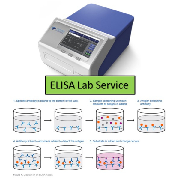 ELISA Lab Service (Colorimetry Method) | Shopee Malaysia