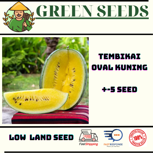 Watermelon Seeds - Tembikai Oval Kuning/Tembikai Hitam Manis/Tembikai ...