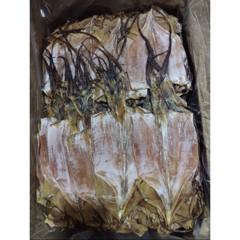 鱿鱼🦑 7-8cm 100g dried squid sotong kering 100g | Shopee Malaysia