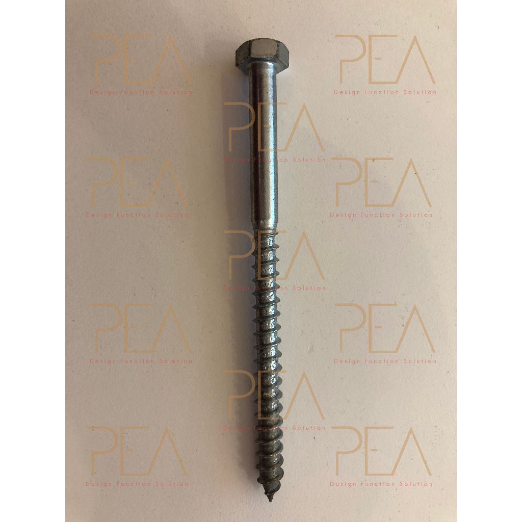 (10pcs) Coach Screw Hexagon Head External Hex Head Self-Tapping Wood Screws M8 x 120mm | Shopee ...
