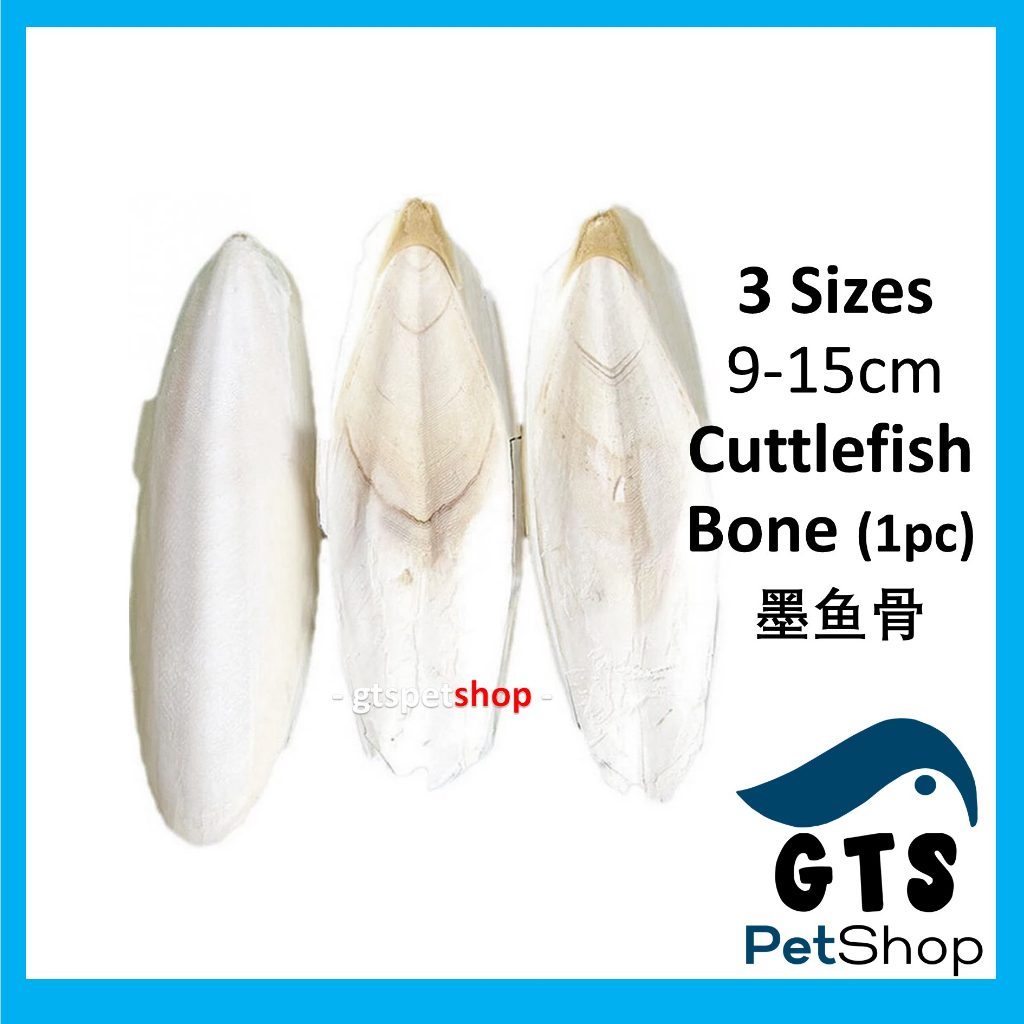 Cuttlefish Bone Natural Calcium Supplement 墨鱼骨（天然钙质) Tortoise Calcium ...