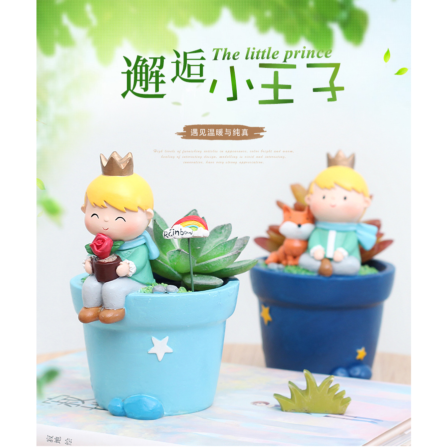 [Bunface Potato Carnivorous Plants] The Little Prince Flower Pot ...