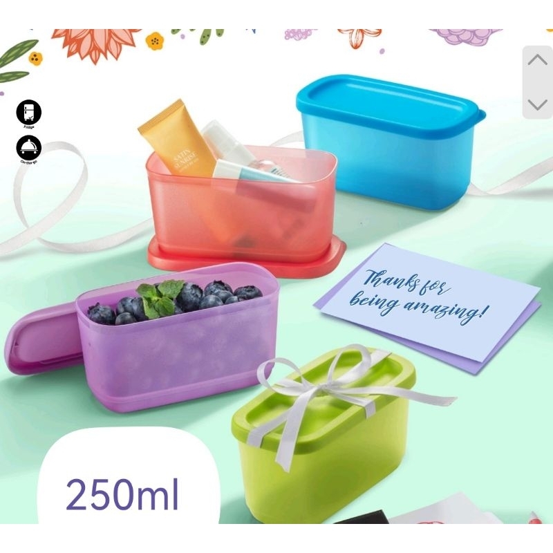 New Tupperware Small Rectangular Saver (4) 250ml | Shopee Malaysia