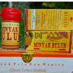 Bulus SEHAT SENTOSA 15ml - Bulus Oil Obat Kulit Gatal Kadas Kurap Jamur ...