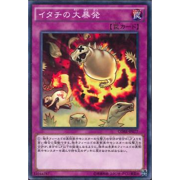 Yu-Gi-Oh! 遊戯王 CORE-JP077 - Ferret Flames (Common "N") | Shopee Malaysia