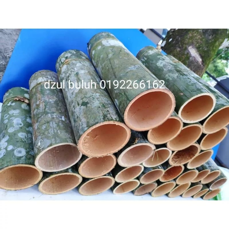 BULUH BRIAYANI/BULUH BESAR & TEBAL (BULUH BETONG ) | Shopee Malaysia