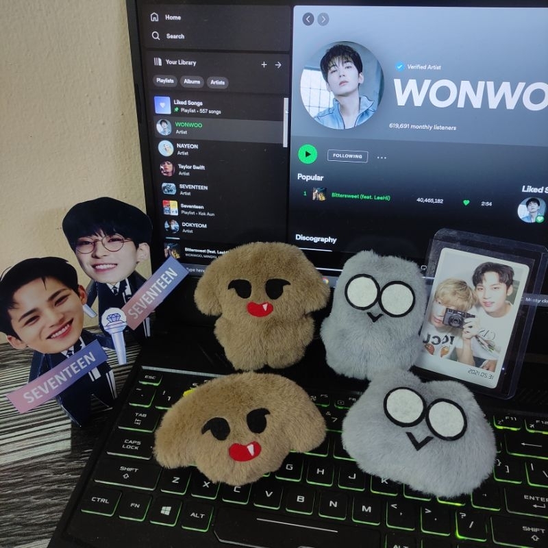 Seventeen mingyu and wonwoo 8-9cm doll keychain (fanmade, read ...