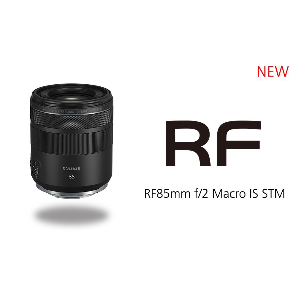 RF85mm f/2 Macro IS STM for Canon R6/R6II/EOS R/R5/R7/R10/R8/R50 | Shopee Malaysia