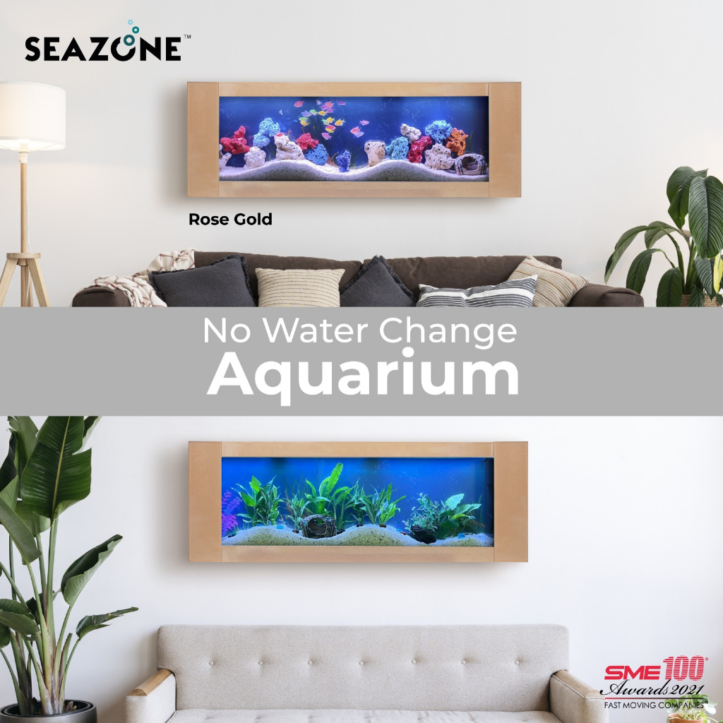 SEAZONE Aquarium | Wall Mounted Series | Luxury Rose Gold | Shopee Malaysia