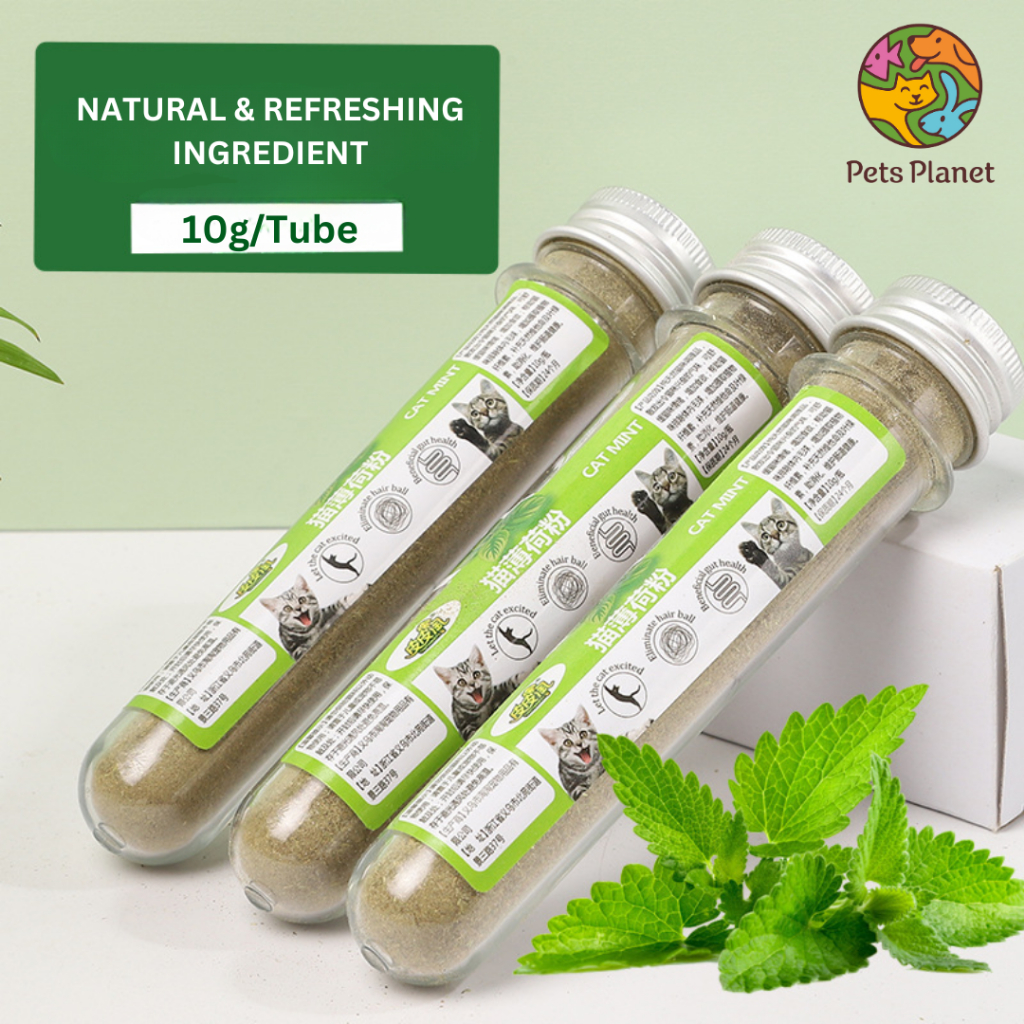 Catmint Powder 10g | Catnip | Catwort | Cat grass | Pudina Kucing ...