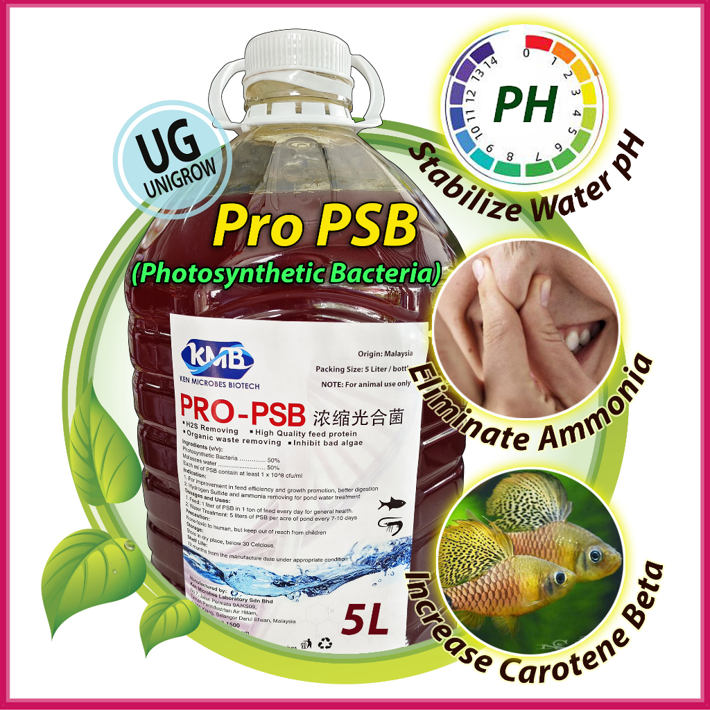(5 Liter) Pro-PSB Photosynthetic Bacteria For Aquarium, Plants & Animal ...
