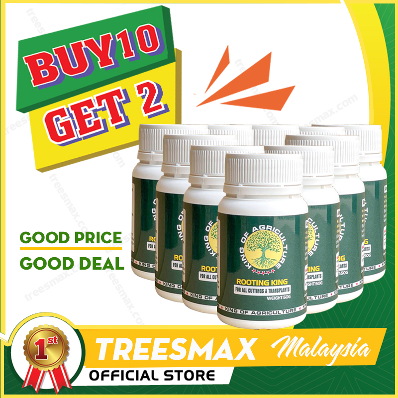 [BUY 10 FREE 2] ROOTING KING - New generation, x3 power for plants ...
