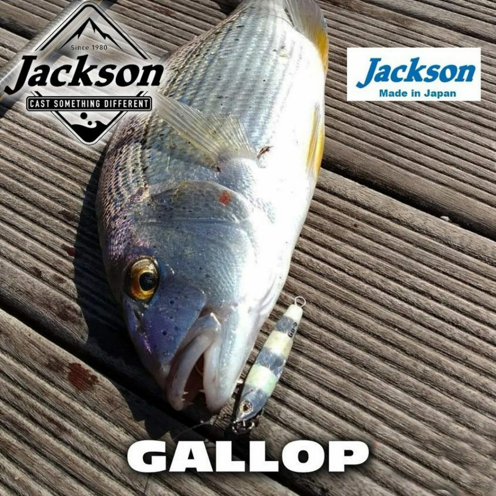 Jackson Metal Jig Gallop Assist Long Cast 32g | Shopee Malaysia