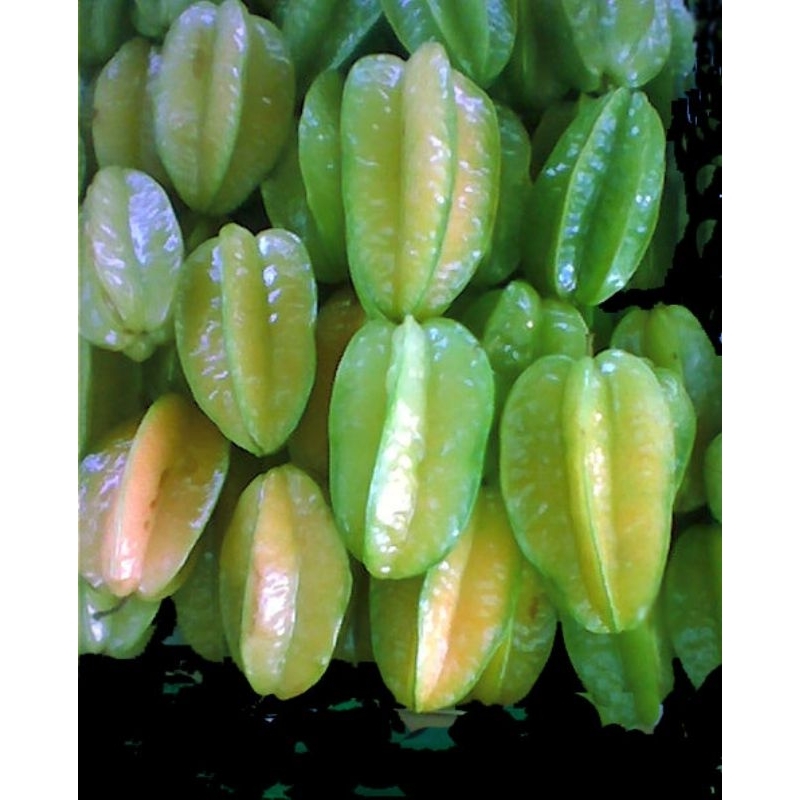 Buah belimbing besi/star fruit 3 biji | Shopee Malaysia