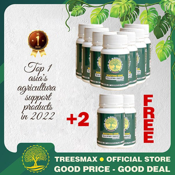 Fresh Combo 7 FREE 1 Rooting King Powder - New generation fertilizer ...