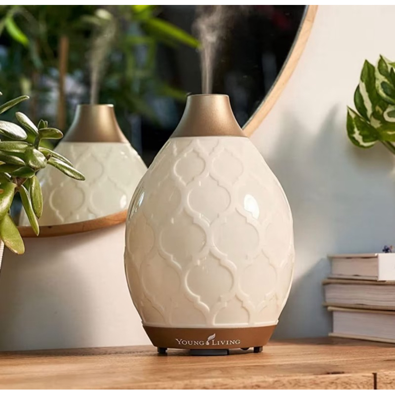 Desert Mist diffuser (diffuser only, no eo) | Shopee Malaysia