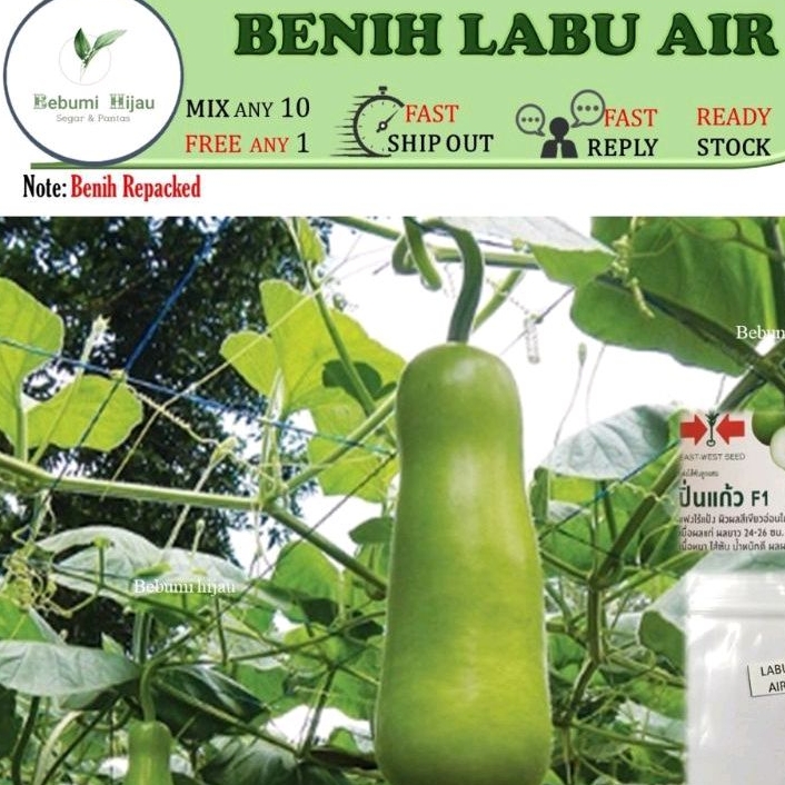 3 pcs benih LABU AIR BOTTLE GOURD seeds repacked | Shopee Malaysia