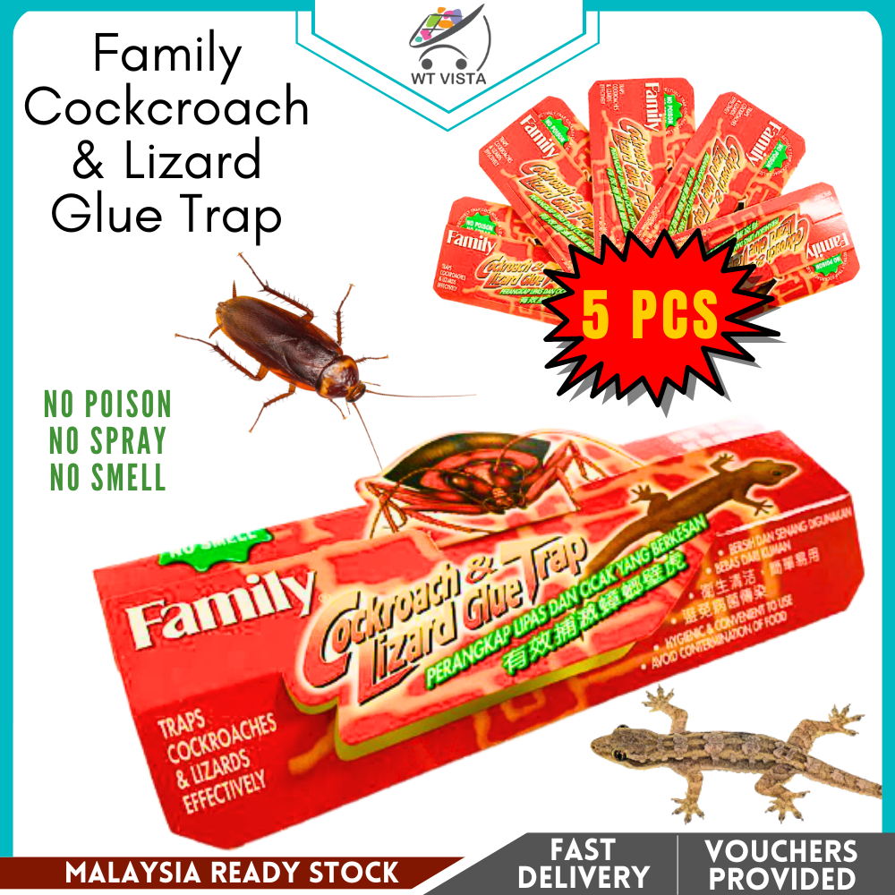 Family Lizard Glue Trap 5PCS Cockcroach Roach Bait Trap Trap Perangkap ...