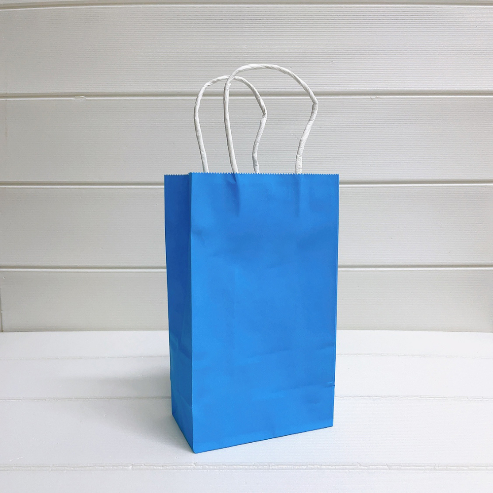10PCS Colour Paper Bag Doorgift/Paper Bag Goodies/ Doorgift/Wedding ...