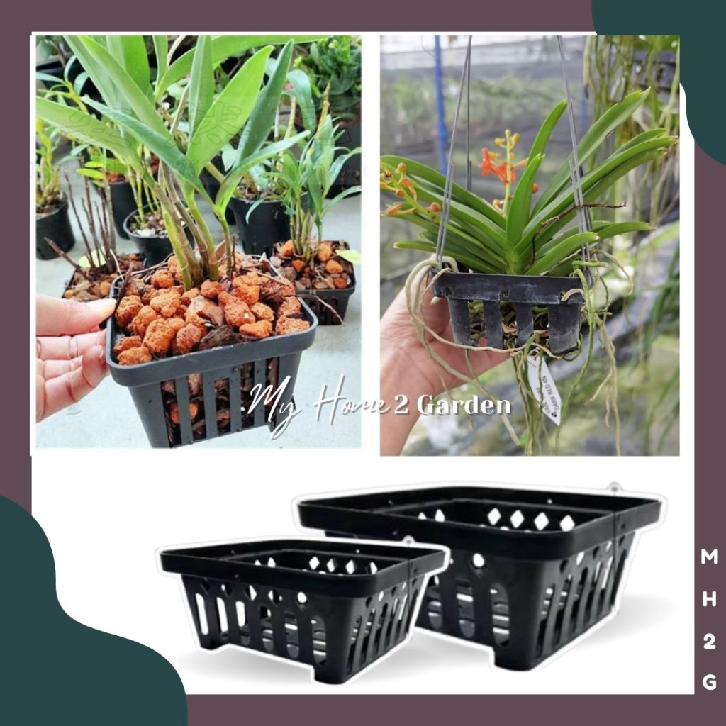 6 / 8 / 10 Inch Orchid Plastic Pot Gardening Durable Root Control ...