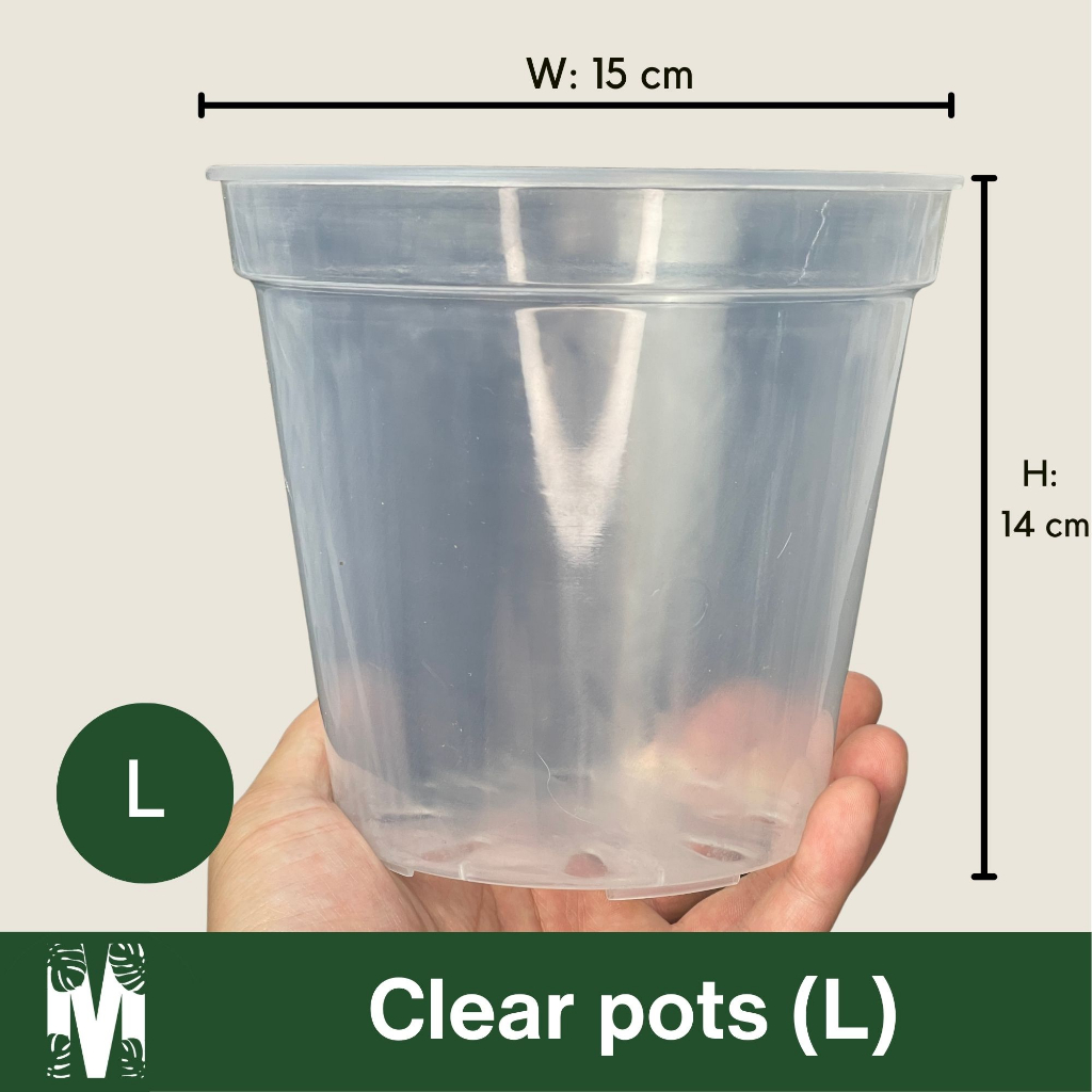 Pasu Lut Sinar Clear Pots Transparent POT Pasu lutsinar pasu philo pasu ...