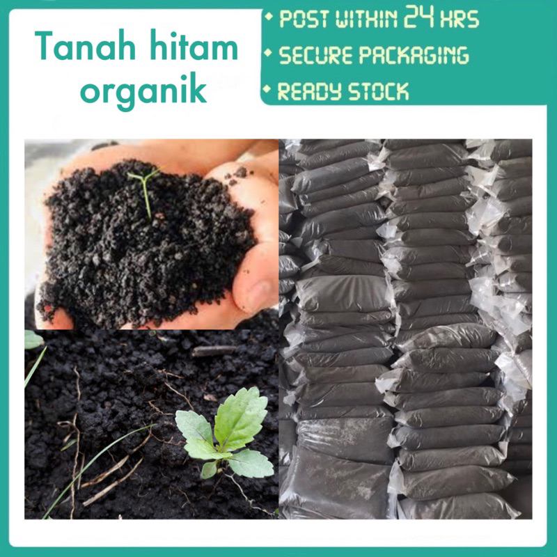 PBN - 3.5KG tanah hitam organik organic black soil good for flower ...