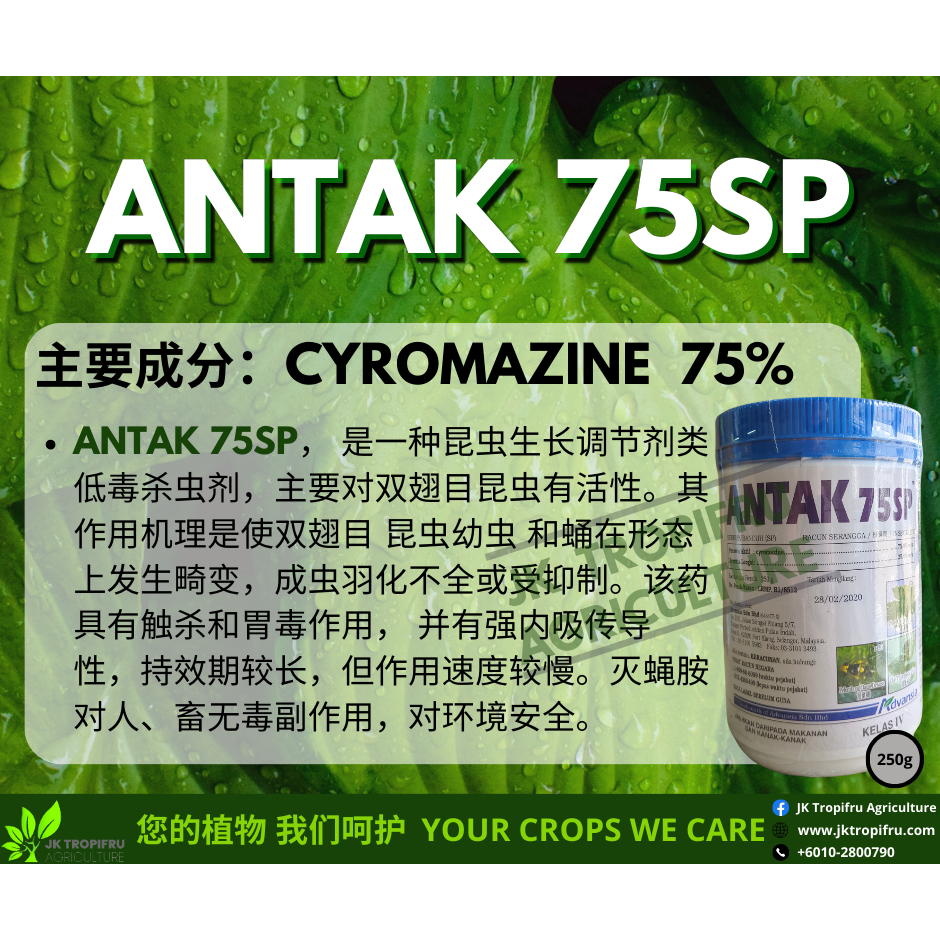 ANTAK 75SP (250g) Pesticides/ Racun Serangga Perosak/ 农药 （Linomy ...