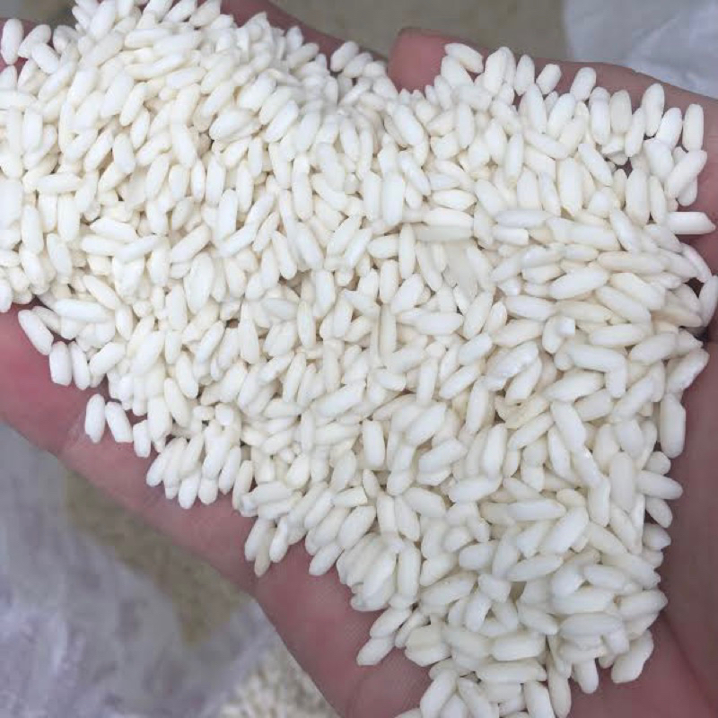 Beras Pulut Biasa / Beras Pulut Susu 500g/1kg | Shopee Malaysia