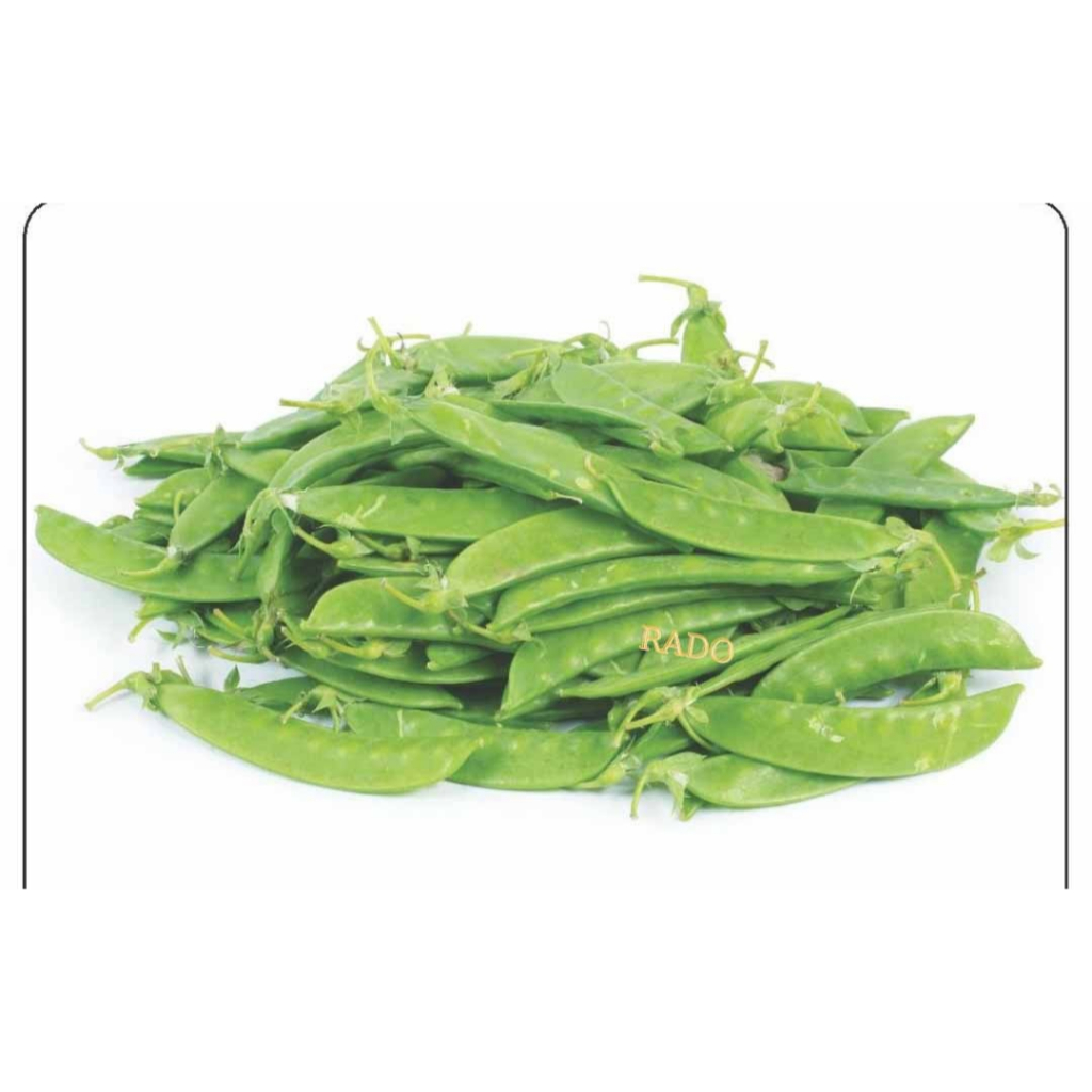 RADO 939 Snow Pea Seeds 荷兰豆种子/扁豆 Biji Benih Kacang Salji Biji Benih ...