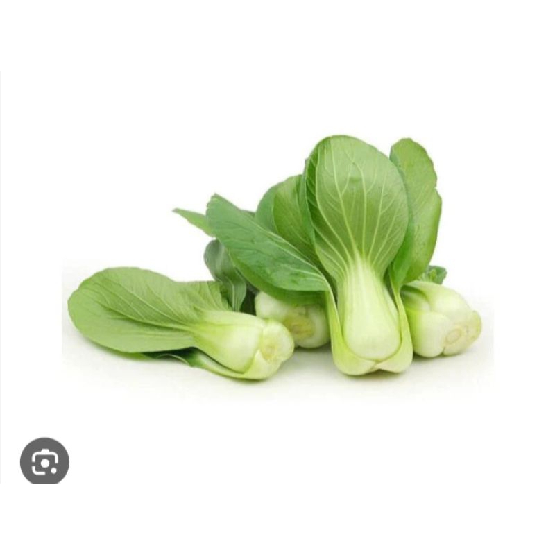 sayur pak choy segar 300g | Shopee Malaysia