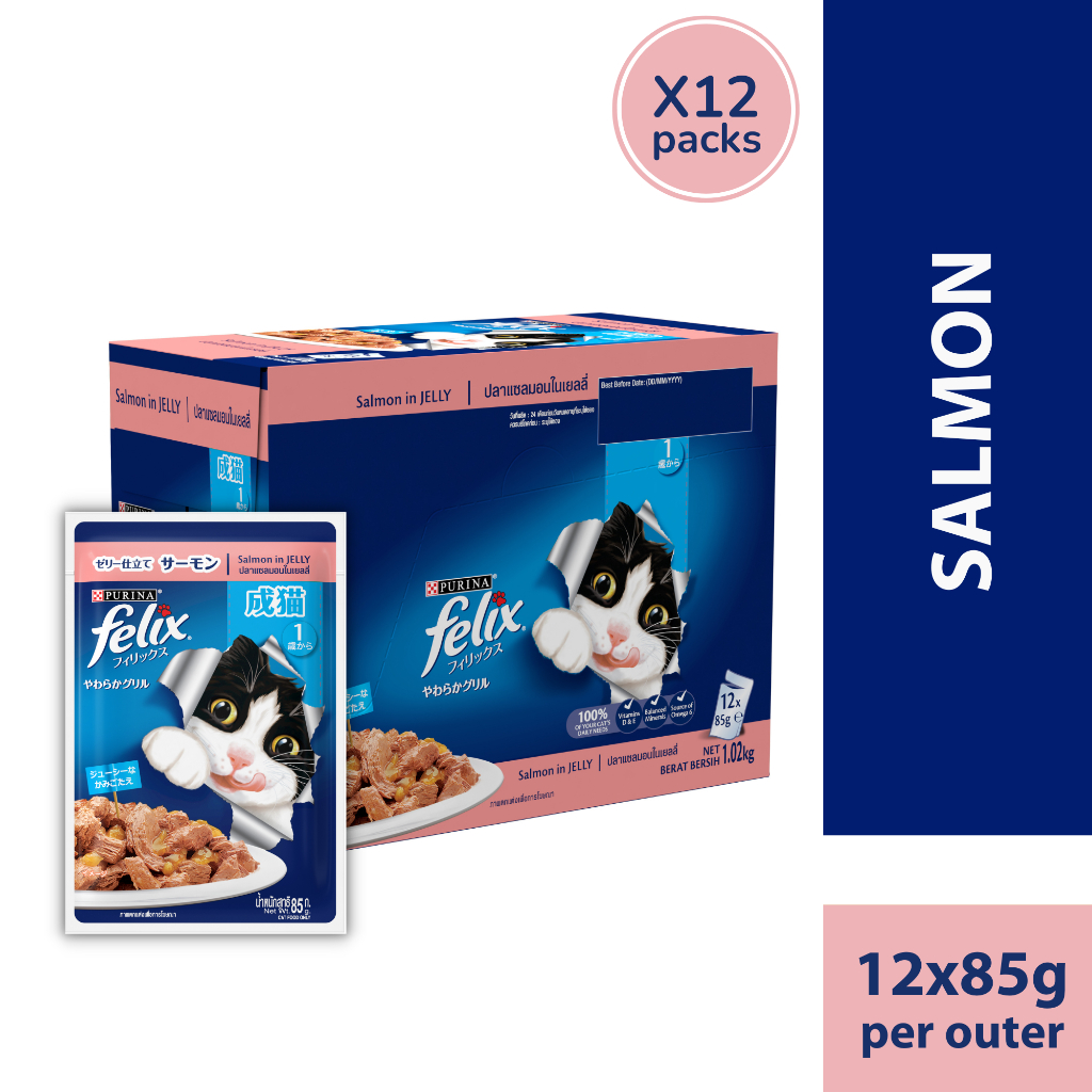 PURINA Felix As Good As It Looks Adult Salmon in Jelly Wet Cat Food (12 ...